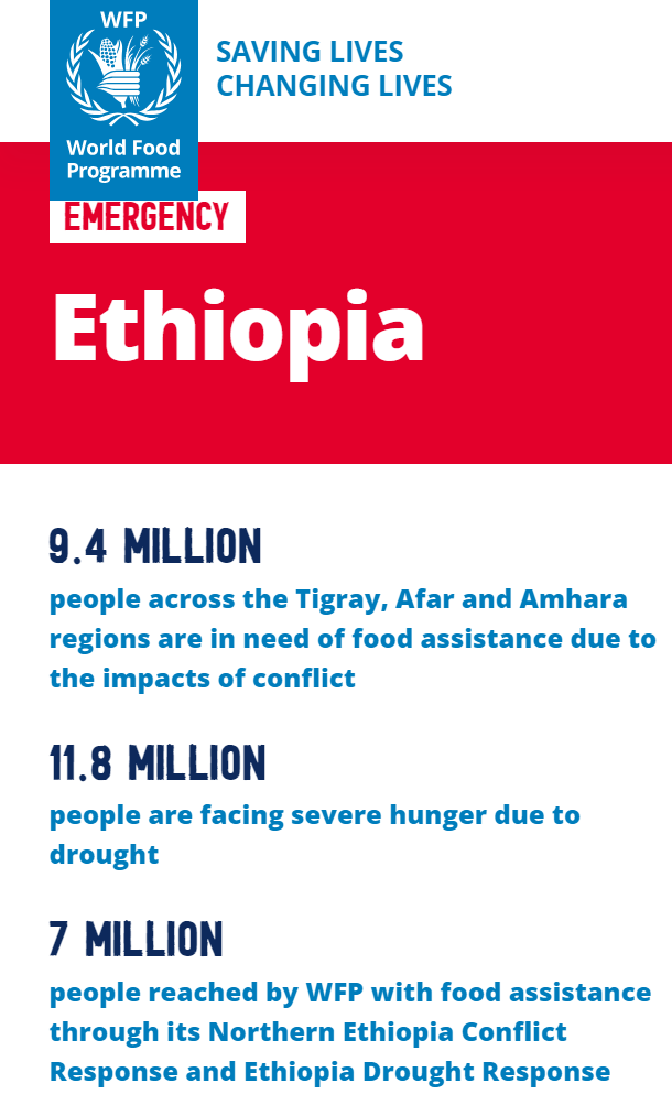 Insecurity, funding gap challenge WFP operations in Ethiopia – New ...